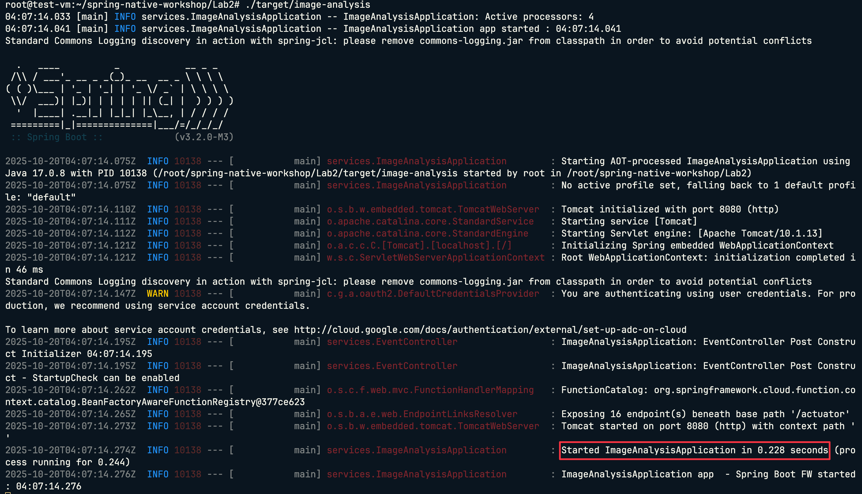 Spring Native Workshop - Image Analysis Application