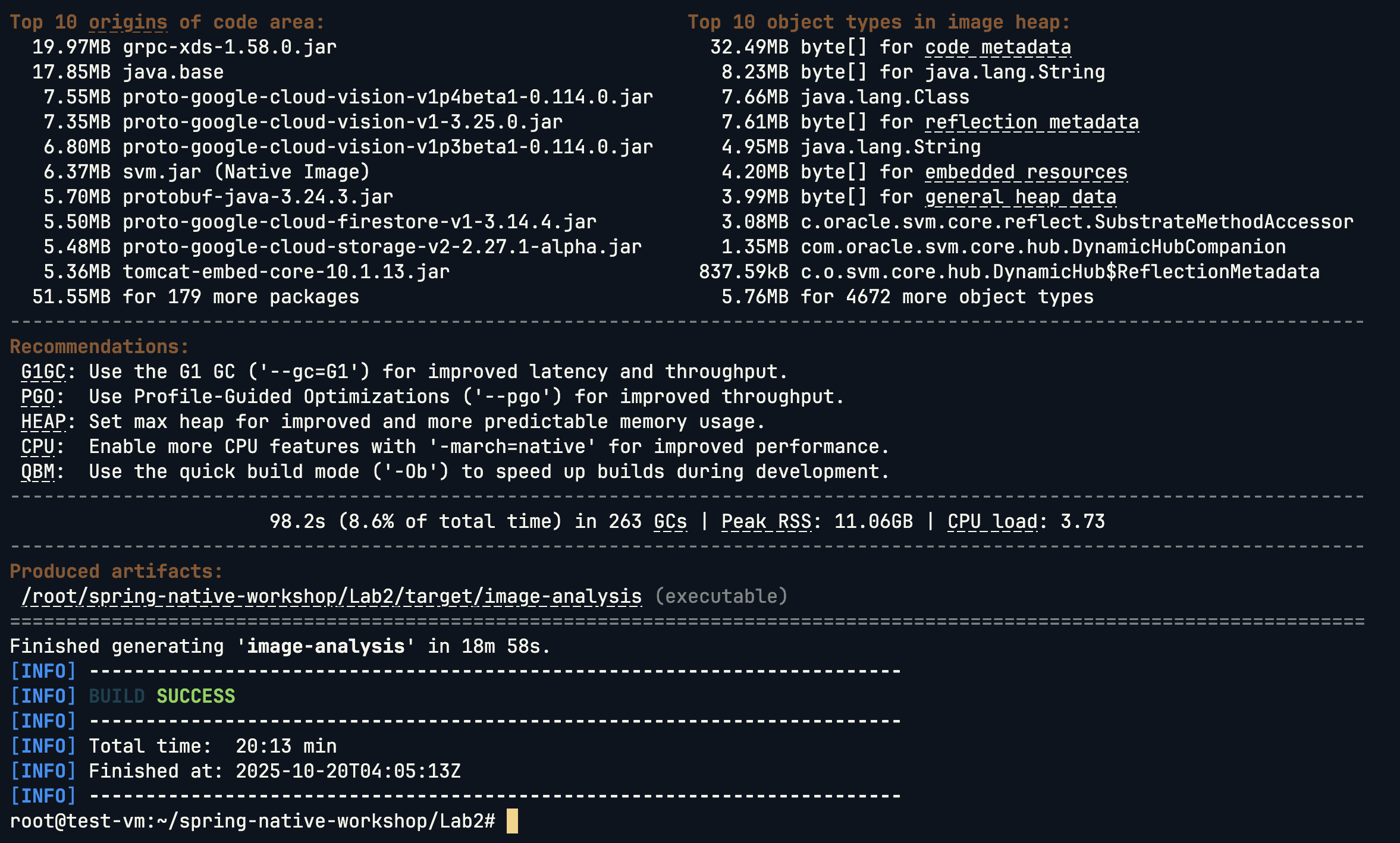 Spring Native Workshop - Image Analysis Application