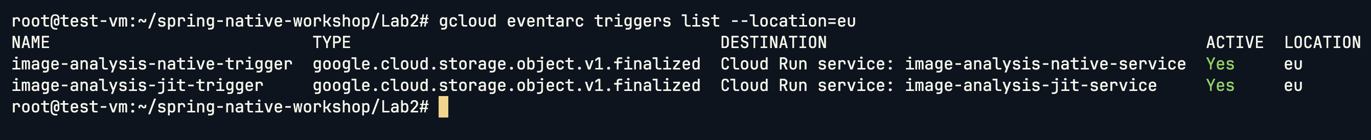 Spring Native Workshop - Image Analysis Application